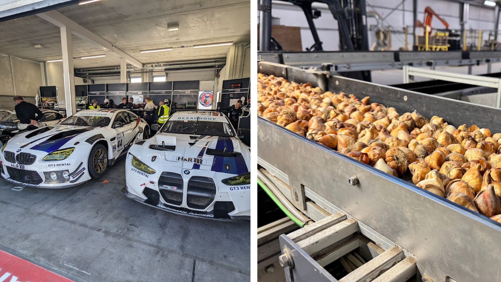 Bedrijfsbezoeken: Koopman Racing en Steltenpool Bolbloemen - Gemeente ...